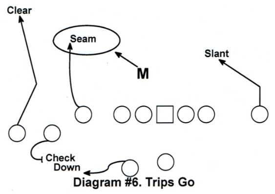 Basics RPO Game – Coaches Insider