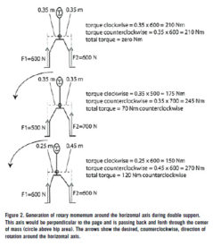 Hammer Throwing – Dynamic Aspects of the Lower Extremities – Coaches ...