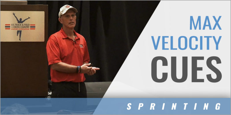 Creating Positive Culture: Don’t Be a Tyrant with Steve Rainbolt ...