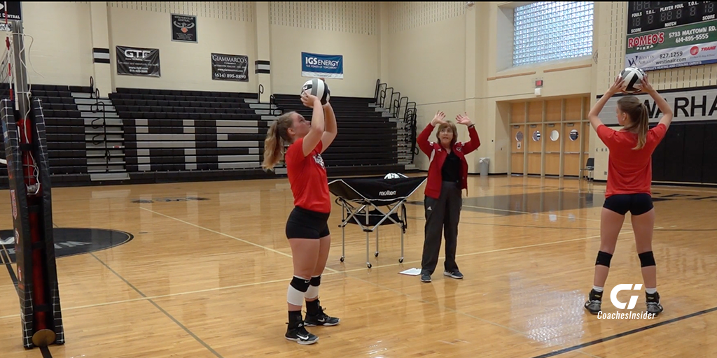 Setter Training Techniques and Drills (Part 1) with Carolyn Condit ...