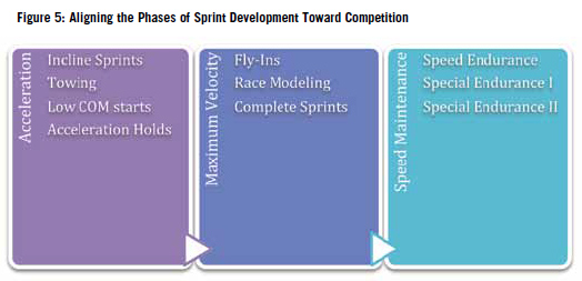 The Nature of Speed – Enhancing Sprint Abilities… [ARTICLE] – Coaches ...