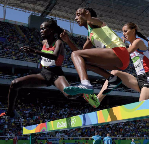 Overtraining in Sport – With an Emphasis on Distance Runners [ARTICLE ...